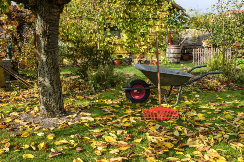 5 Ways to Prep Your Yard for Fall - Greenhaven Landscapes