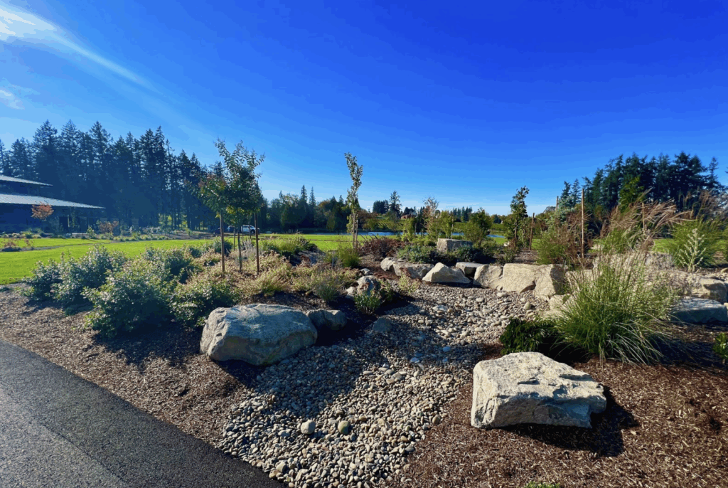 How to Place Boulders in Your Landscape: Professional Tips for a ...