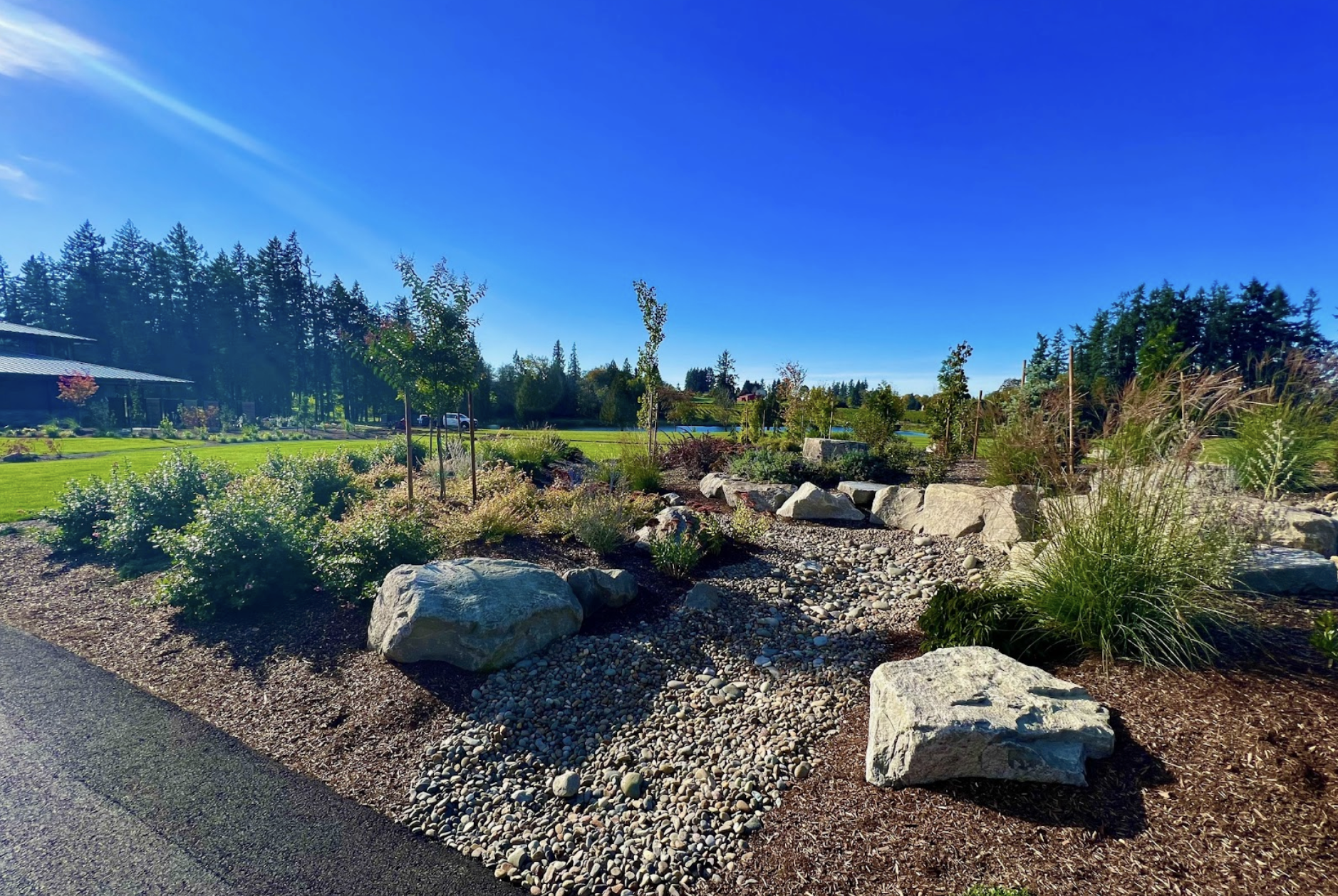 How to Place Boulders in Your Landscape: Professional Tips for a ...